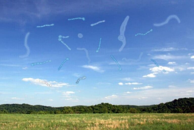 How concerned should I be about "floaters"? Should I see a doctor ...